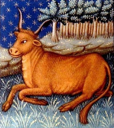 What is Astrology? Do Witches use Astrology? How can I use Astrology?