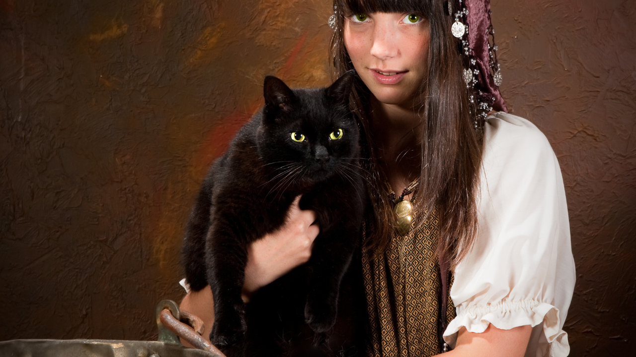 Why Are Cats Associated with Witches? Are They the Perfect Companion ...